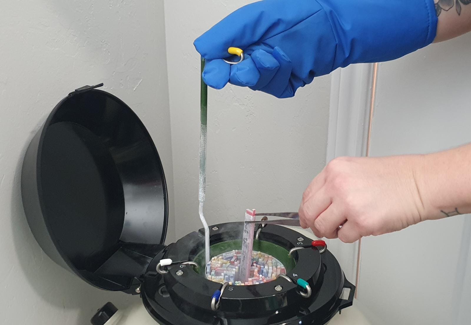 Cryopreservation of Embryos - Genetech